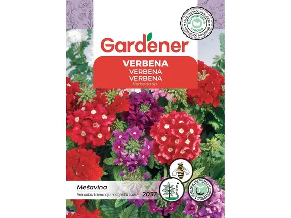 Gardener Verbena, mešavina