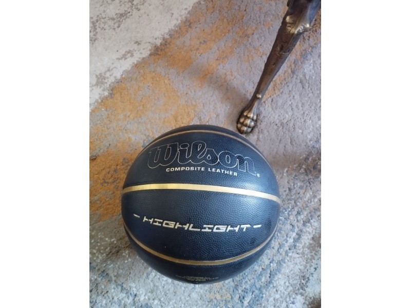 Wilson kosarkaska lopta black gold