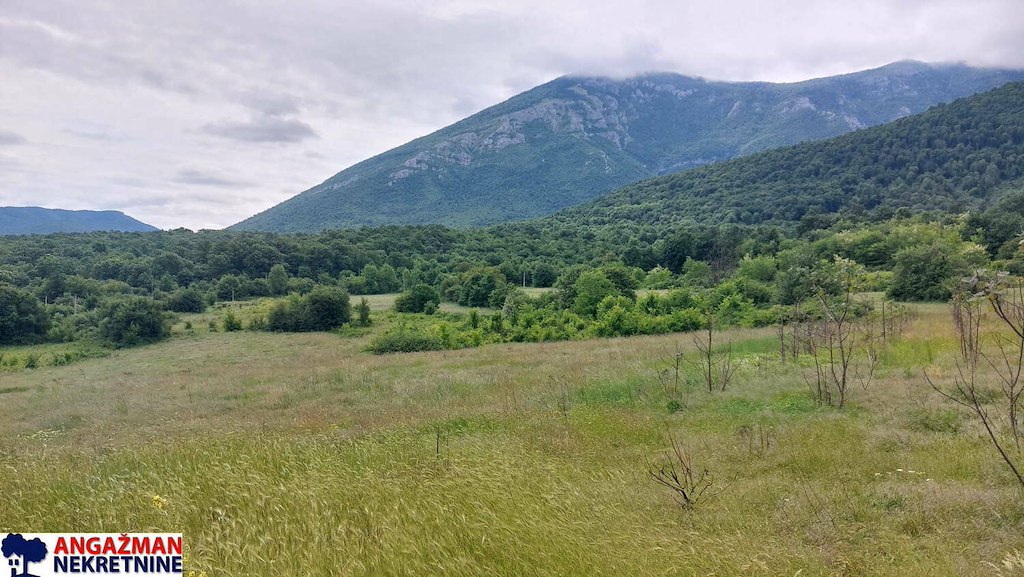 Plac, Boljevac - Mirovo | Prodaja · 7.500€