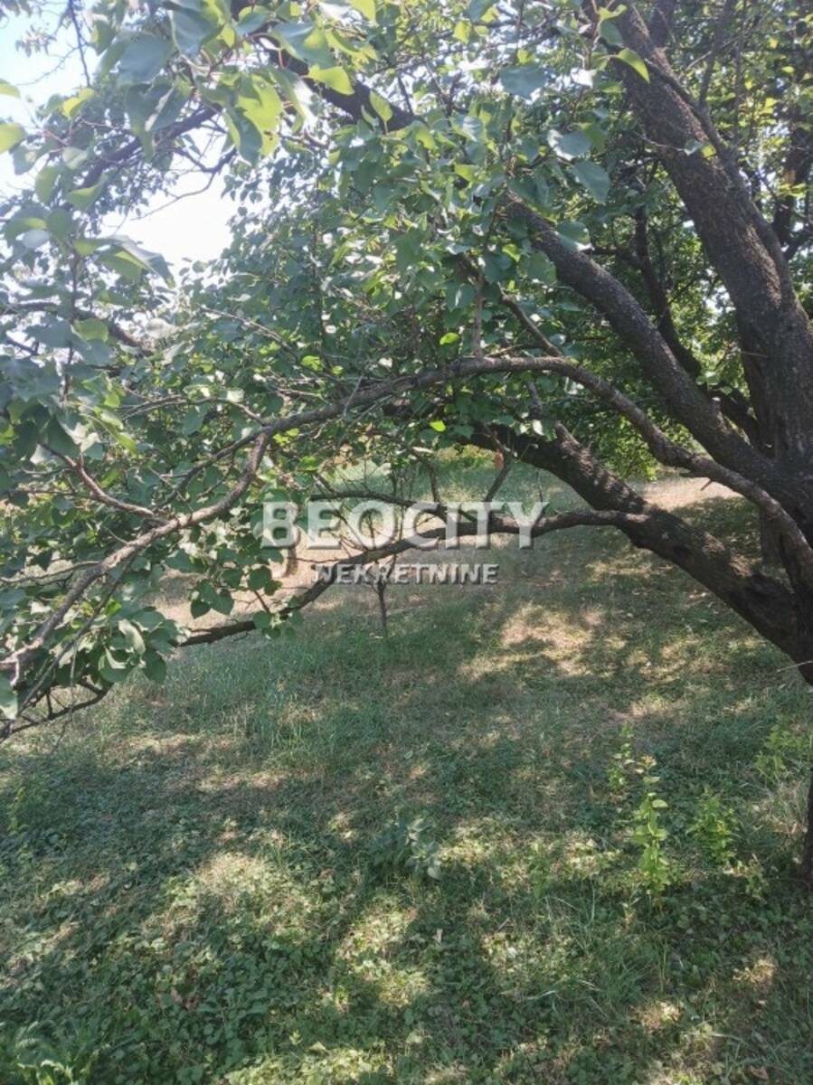 Plac, Beočin - Dumbovo | Prodaja · 1300m² · 42.000€