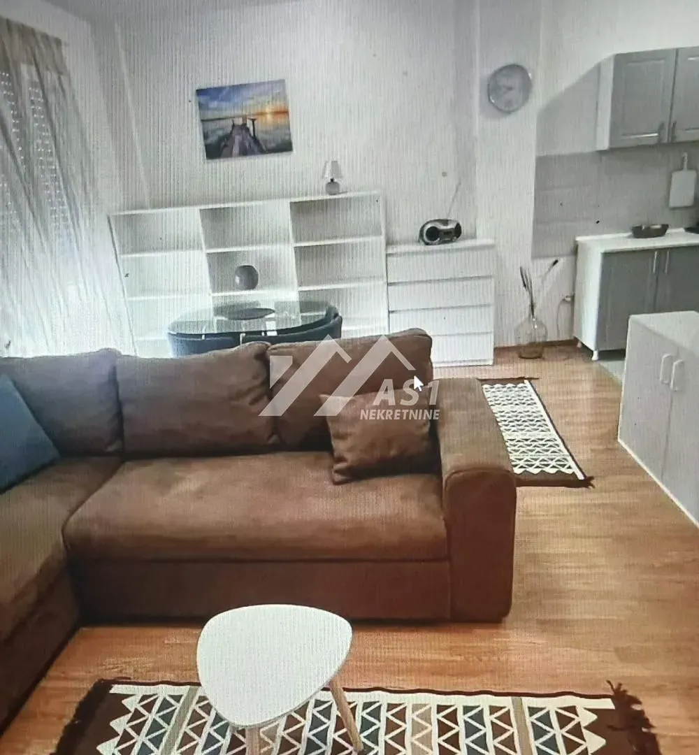 Izdavanje, jednosoban stan, 30m², Veternik, Novi Sad Sve Podlokacije