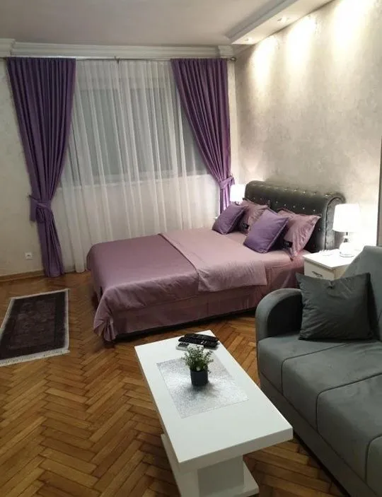Izdavanje, dvosoban stan, 50m², Stari Grad, Beograd