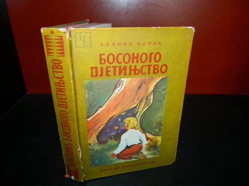 Bosonogo djetinjstvo, Branko Ćopić