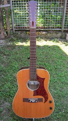 Western acoustic electric gitara sa 12 zica