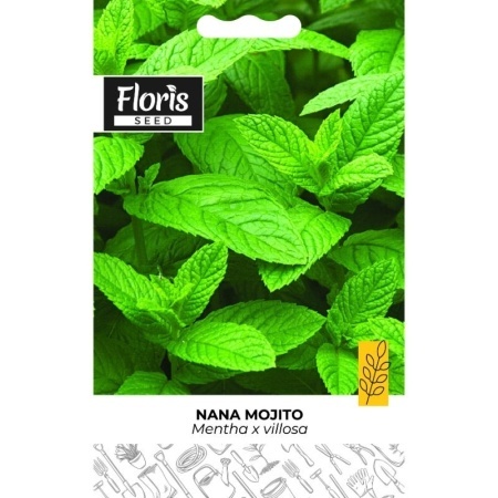 Seme nana Mojito 0.1g - 10kom. Floris