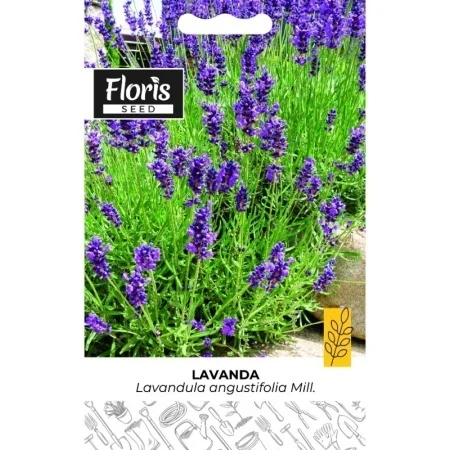 Seme lavanda 0.3g - 10kom. Floris