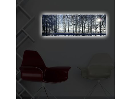 WALLXPERT Dekorativno LED osvetljeno platno sa slikanjem 3090DACT 37