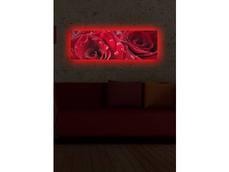 WALLXPERT Dekorativno LED osvetljeno platno sa slikanjem 3090DACT 9