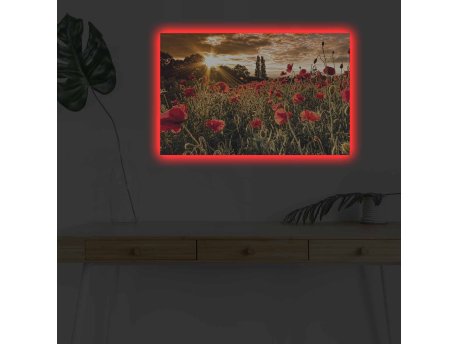 WALLXPERT Dekorativno LED osvetljeno platno sa slikanjem 4570DHDACT 083