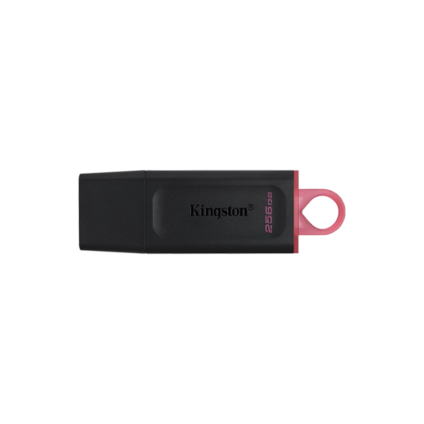 USB Flash Kingston 256GB DataTraveler Exodia USB 3.2, DTX/256GB