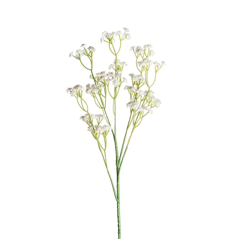 GIPSOFILA 70 cm