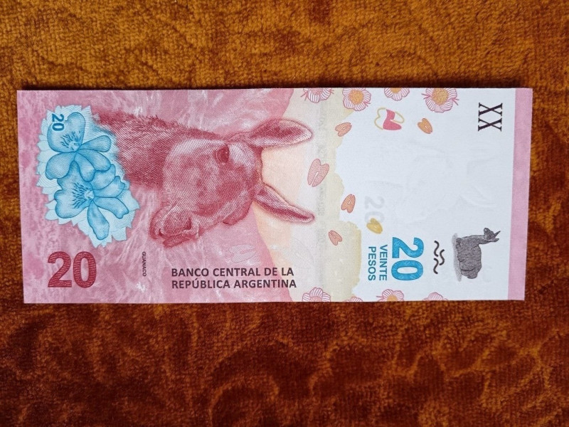 Argentina 20 pesos,2018 god.UNC