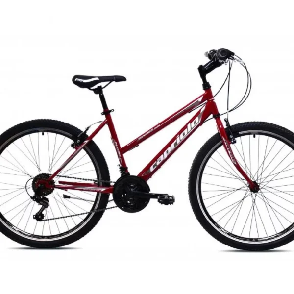 CAPRIOLO BICIKL MTB PASSION L26/18HT BORDO