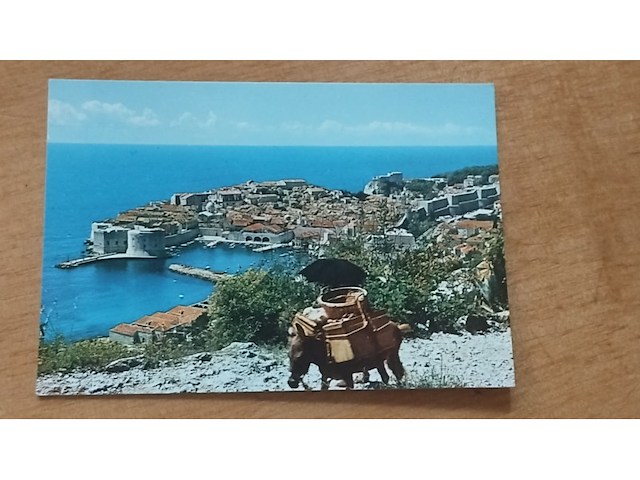 Dubrovnik - Životinja - Magarac - Hrvatska - Čista