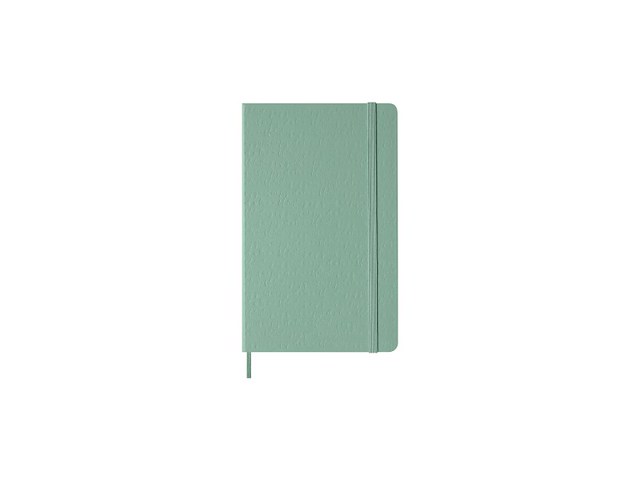 Agenda - Moleskine, Plain, Large, Sage Green, Text, Hard Cover