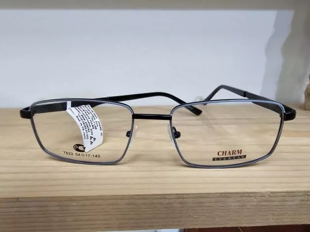 CHARM MUŠKE NAOČARE ZA VID MODEL 8