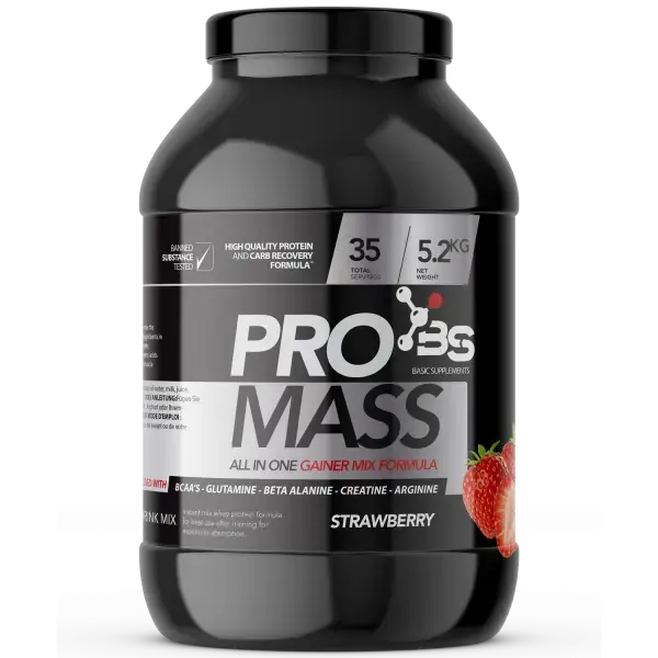 Pro mass 5.2kg - Basic Supplements