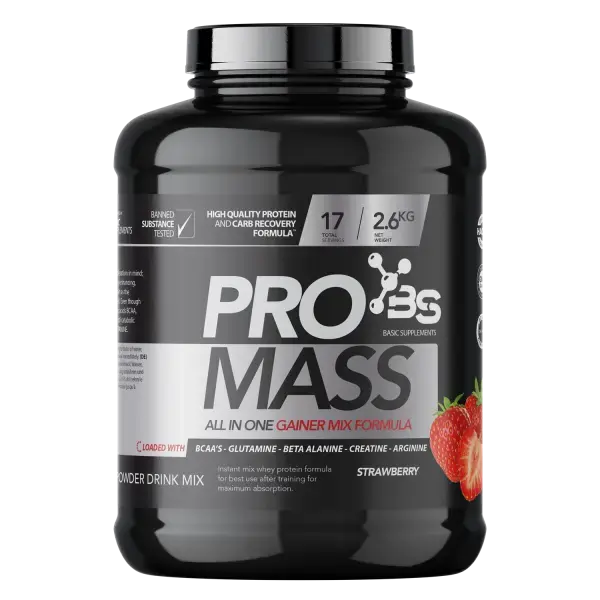 Pro mass 2.6kg - Basic Supplements