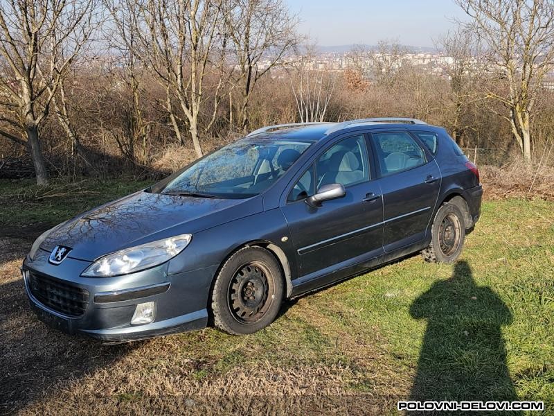 Peugeot 407 Motor I Delovi Motora