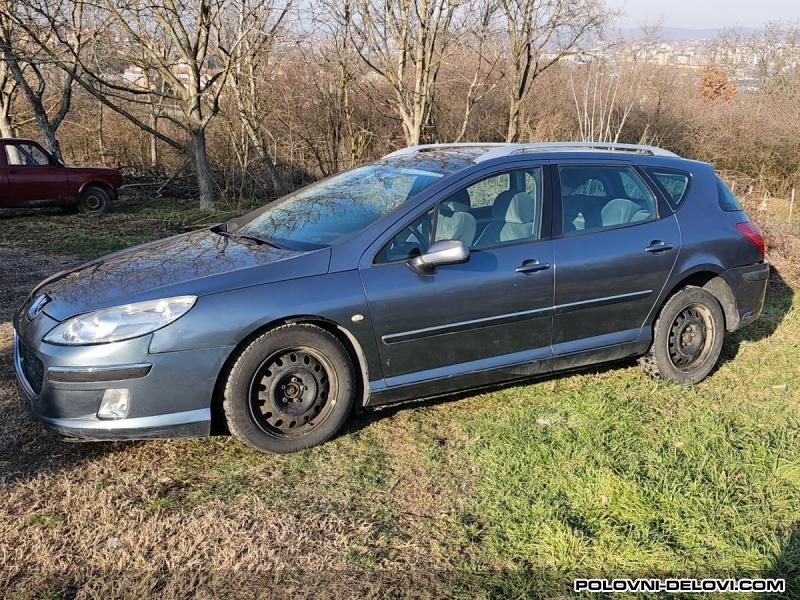 Peugeot 407 2.0 HDI 1.6 HDI Kompletan Auto U Delovima