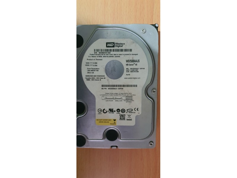Western Digital 250 Gb Sata II hard disk