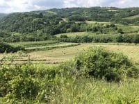 Parcela 1181m² u Bukovcu – mir, priroda i investicija