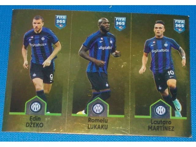 FIFA  365    br. 305 a  ,  b  i  c