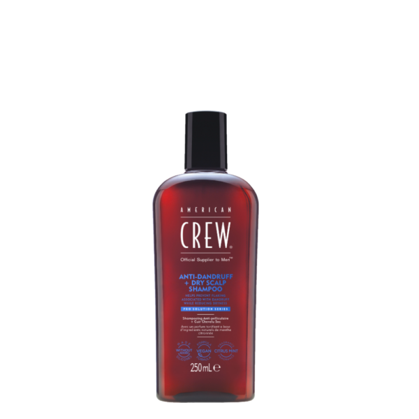 AC Anti dandruff + dry scalp shampoo 250ml