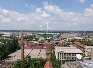Izdavanje Stan - Beograd, Palilula: Profesorska kolonija - Bogoslovija - Hala Pionir