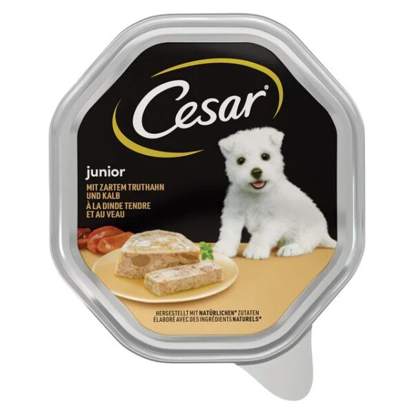 CESAR Junior vlažna hrana za štence – ćuretina i teletina 150g