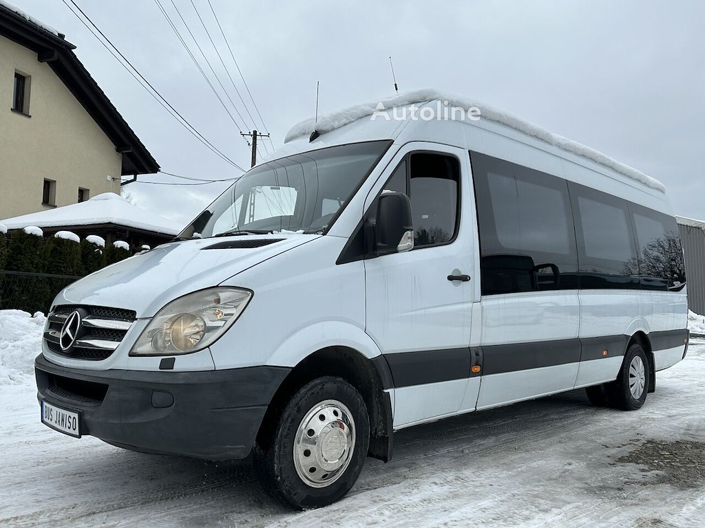 Mercedes-Benz Sprinter 519 putnički minibus