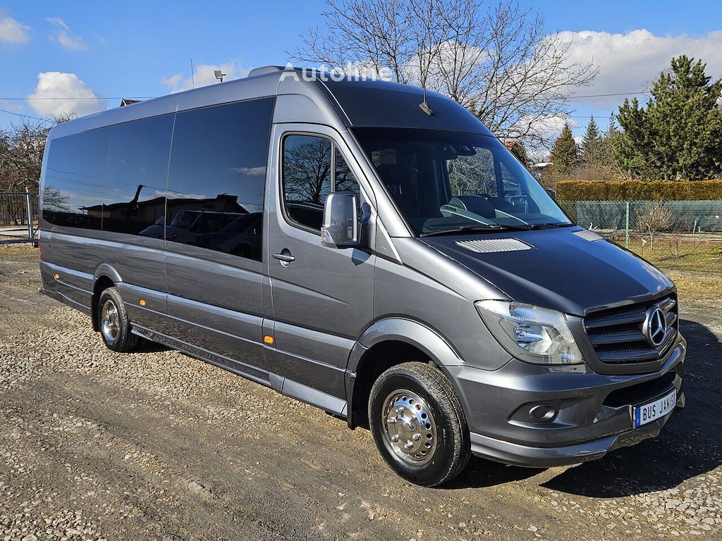 Mercedes-Benz Sprinter 516 putnički minibus