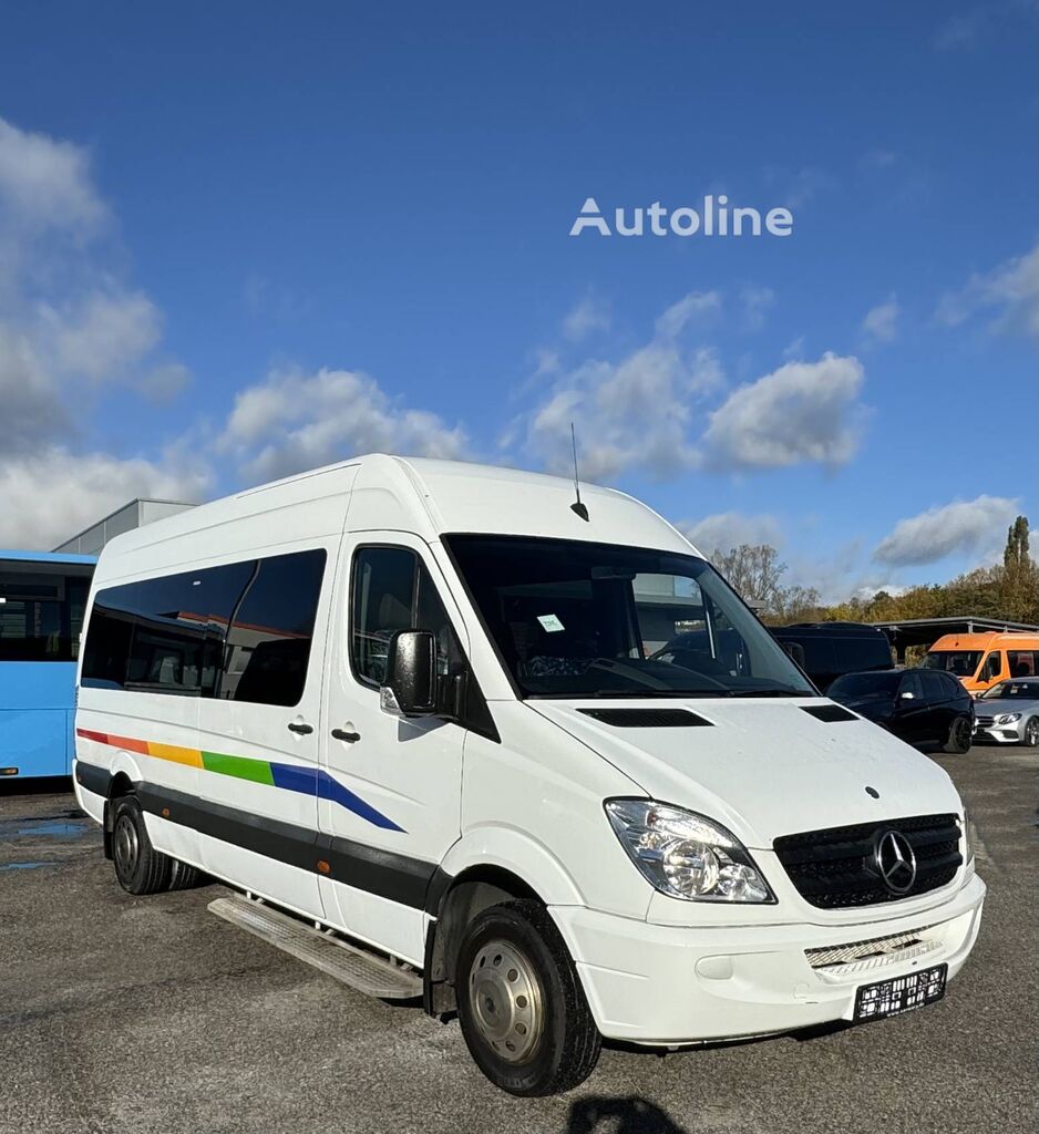 Mercedes-Benz 516 CDI Sprinter*Euro 5* Klima*17 Sitze*Lift*519 putnički minibus