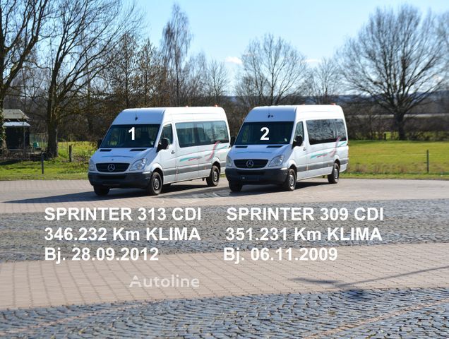 Mercedes-Benz SPRINTER 313 CDI putnički minibus