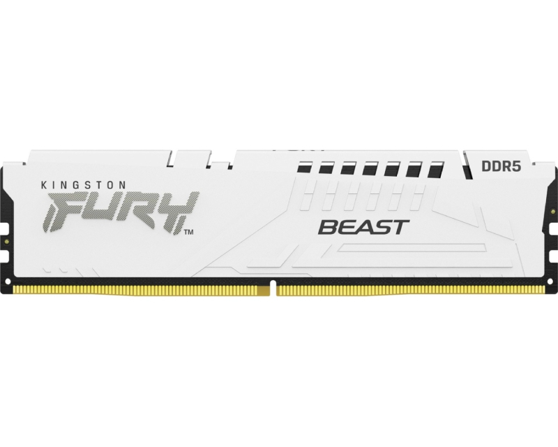 KINGSTON DIMM DDR5 16GB 5600MT/s KF556C36BWE-16 Fury Beast White Expo