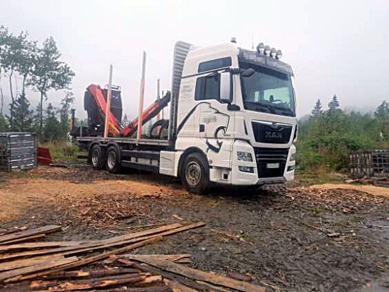 MAN TGX 26.640 *6x4 *FTG V-kran *BIG AXLES *RETARDER kamion za prevoz drva