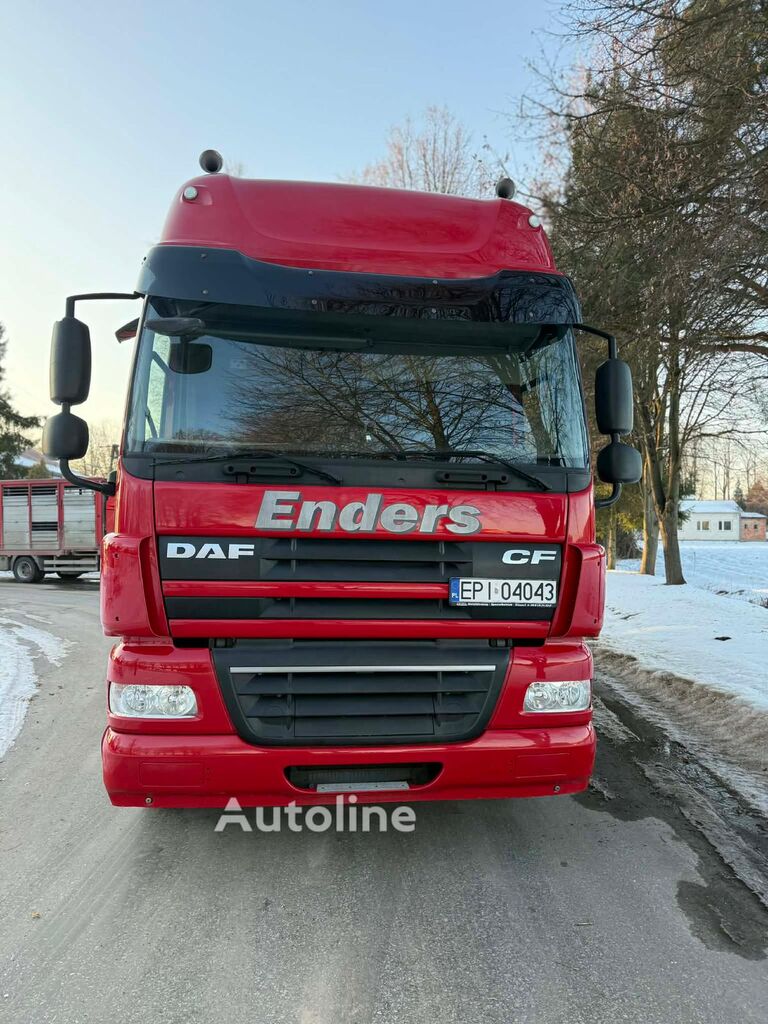 DAF CF kamion za prevoz stoke
