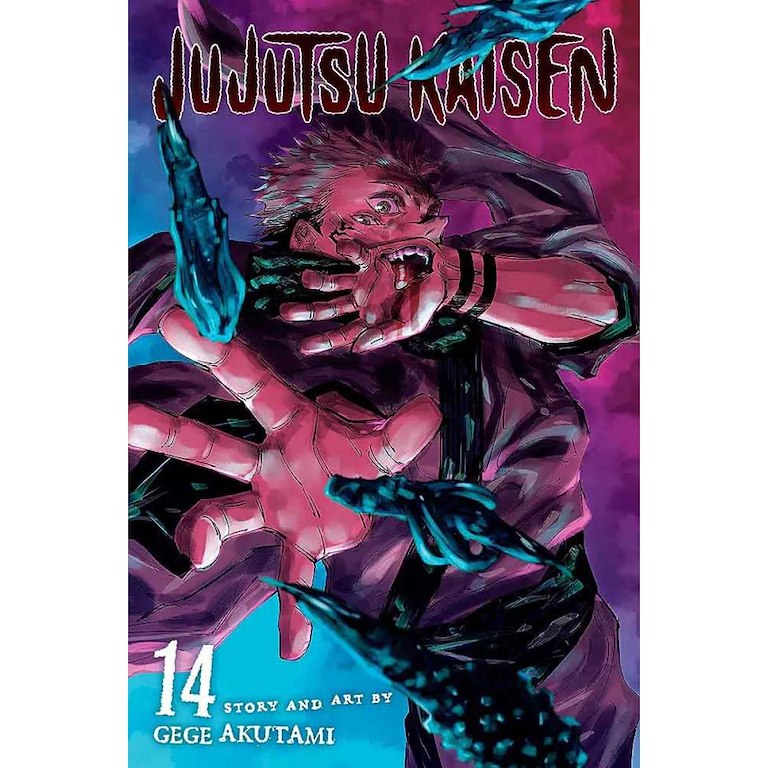 JUJUTSU KAISEN, VOL. 14
