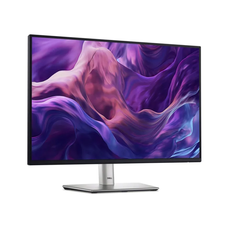 24 inch P2425E 100Hz USB-C Professional IPS monitor