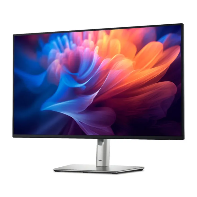 27 inch P2725HE 100Hz USB-C Professional IPS monitor