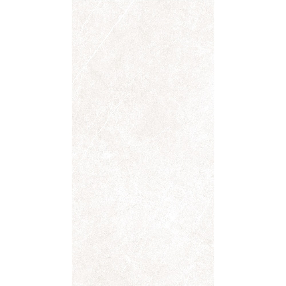 Elegant Ivory 60×120