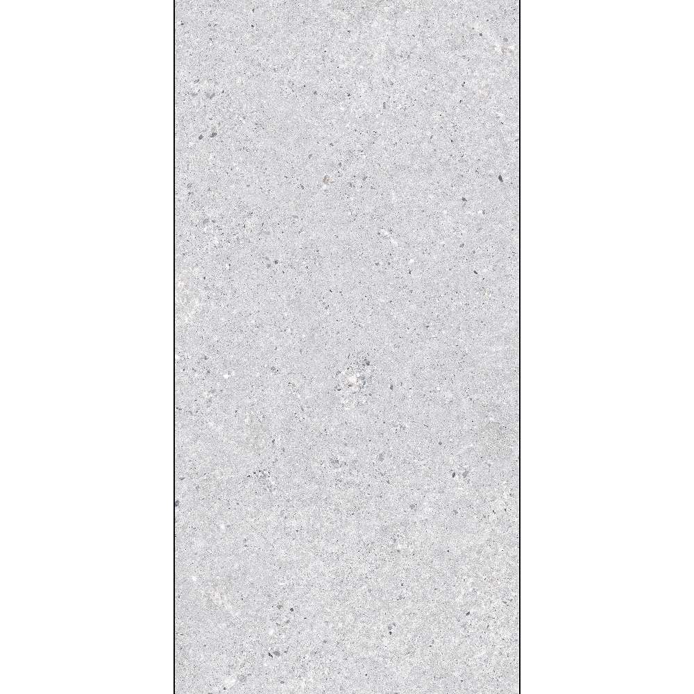 Terrazzo Grigio 60×120