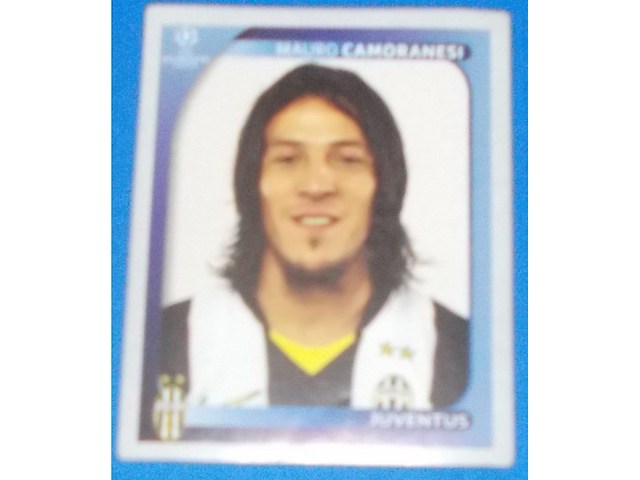 Champions League  2008 - 2009    br. 325