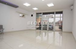 Zemun, Altina, Dobanovački put, 2.0, 50m2, 550EUR