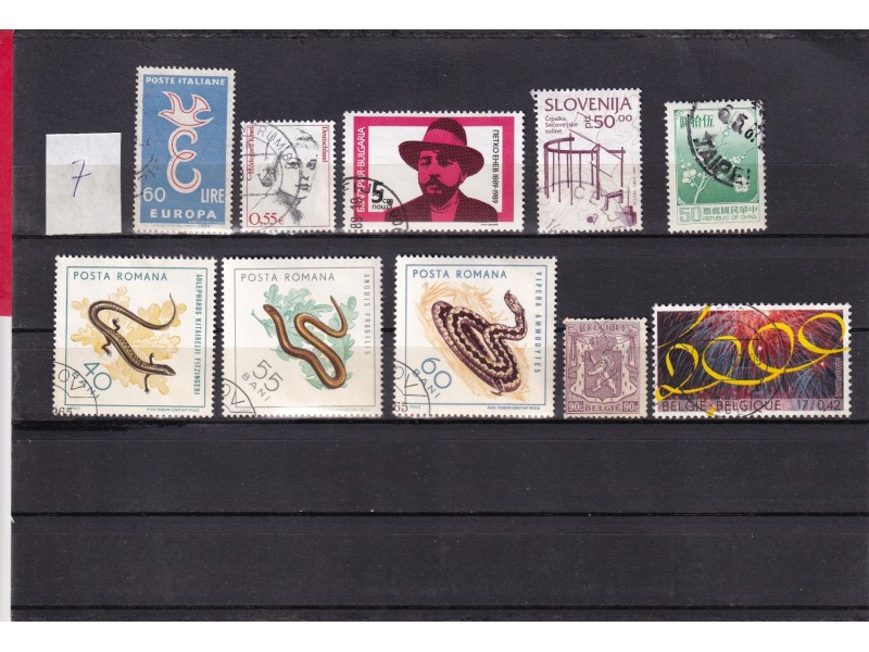 lot 7