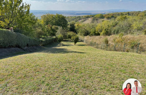 Prodajem Građevinsko Zemljište, Novi Slankamen, Srem Okolica
