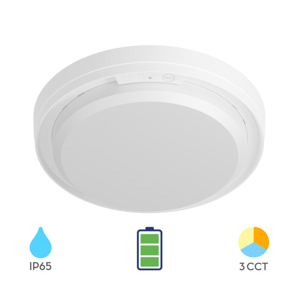 BRY-MOON-18W-3IN1-KIT-IP65-CEILING LIGHT