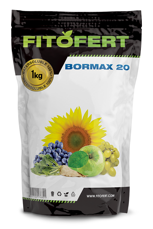 BORMAX 20