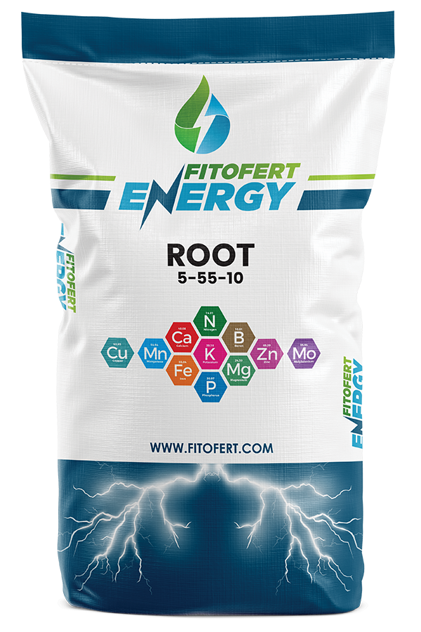 ROOT 5-55-10