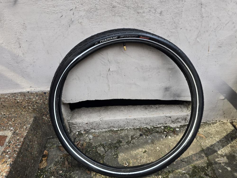 Chaoyang 24 1.75 NOVO